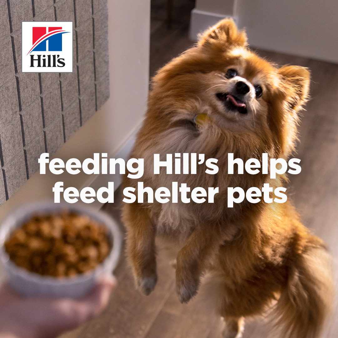 Hill's Pet Nutrition