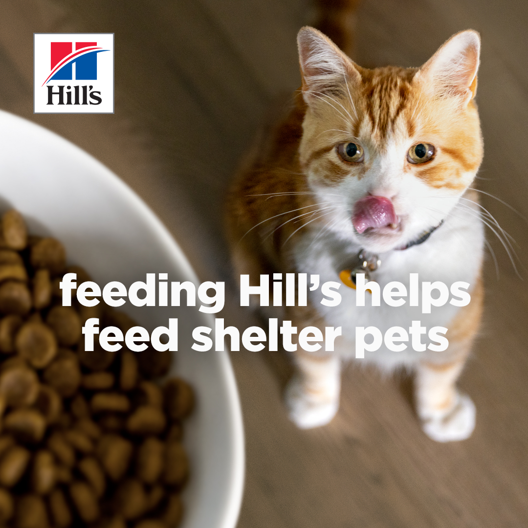 Hill's Pet Nutrition